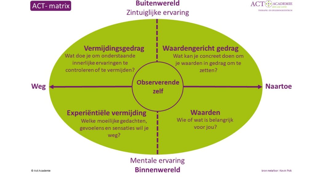 ACT matrix | Act Academie